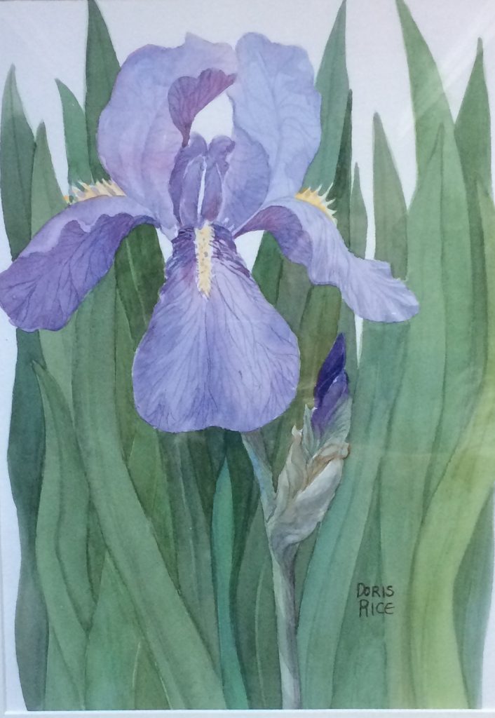 Doris Rice Gallery | Seacoast Artist Association