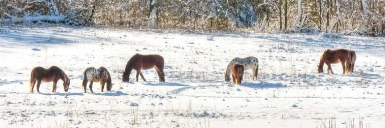 Winter Photographs by Tony Baldasaro and Dennis Skillman | Seacoast ...