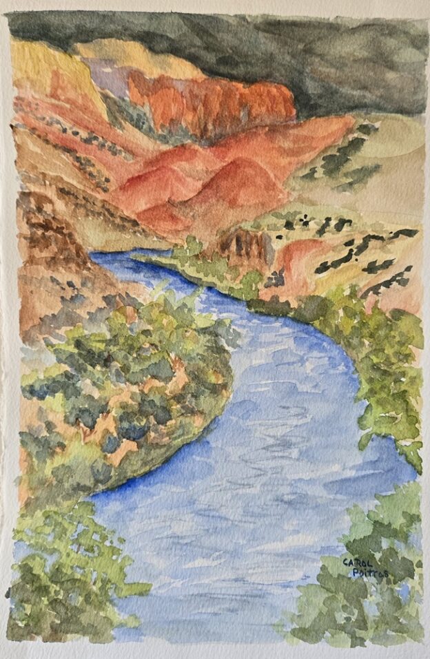 Seacoast Artist Association